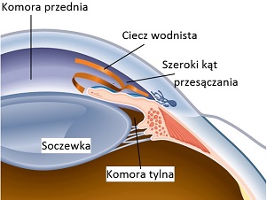 Jaskra 100 dni - Glaucoma.pl